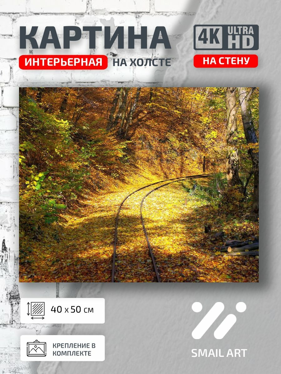 Картина на холсте интерьерная 40 на 50 на стену Лесу Landscape для офиса пейзаж интерьер