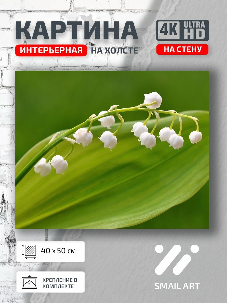 Картина на холсте интерьерная 40 на 50 на стену Ландыши Landscape для спальни пейзаж декор