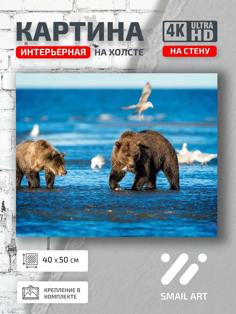 Картина на холсте интерьерная 40 на 50 на стену Животные Медведи для офиса атмосфера