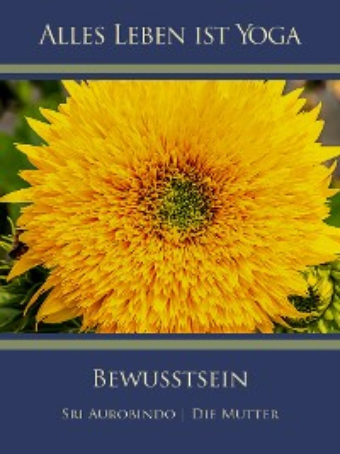 Bewusstsein [Цифровая книга]