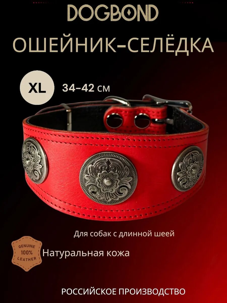 Ошейник-селедка Dogbond для грейхаундов и борзых собак