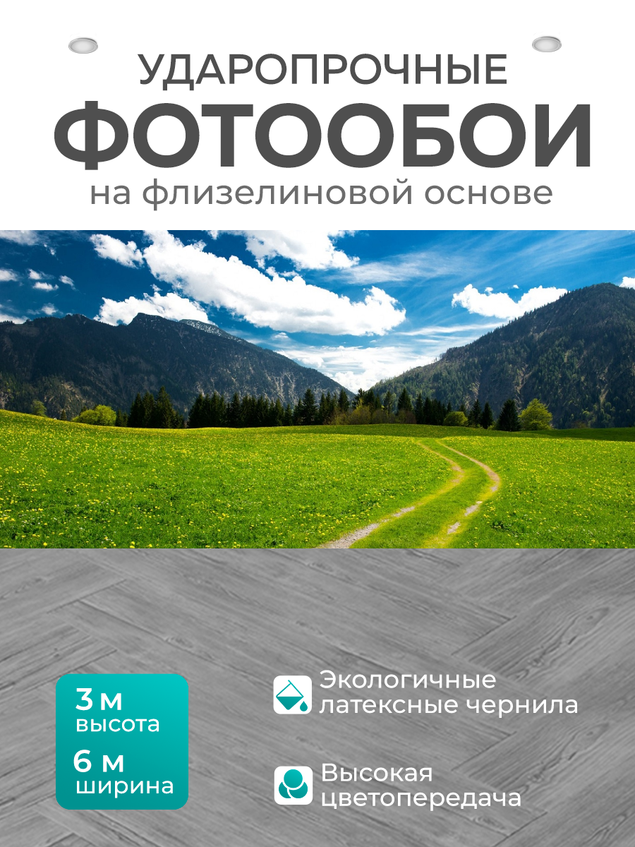 Фотообои моющиеся ударопрочные "Дорога в горы Дорога через луг, ведущей в горы дорога дорожка луг пейзаж живописные сельской местности полевые." 600x300 см. флизелиновые на стену