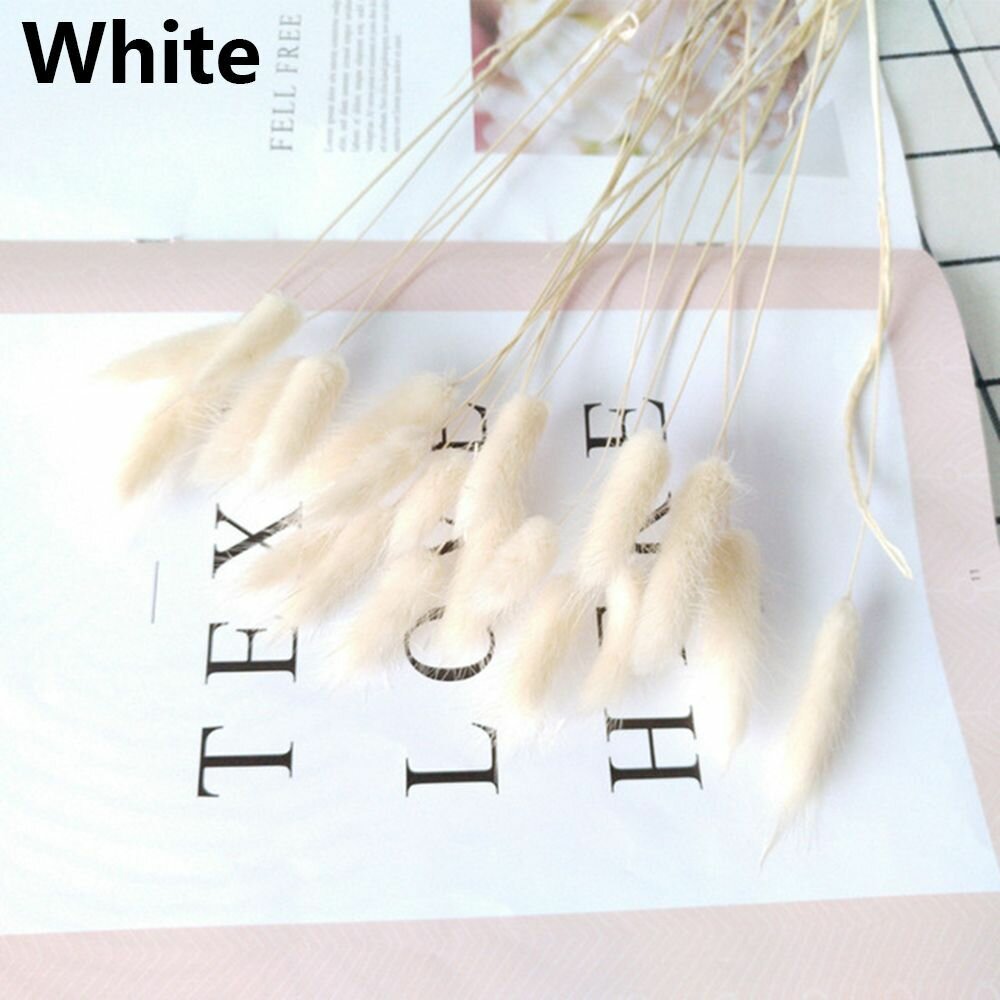 20pcs Кролик Хвост Трава