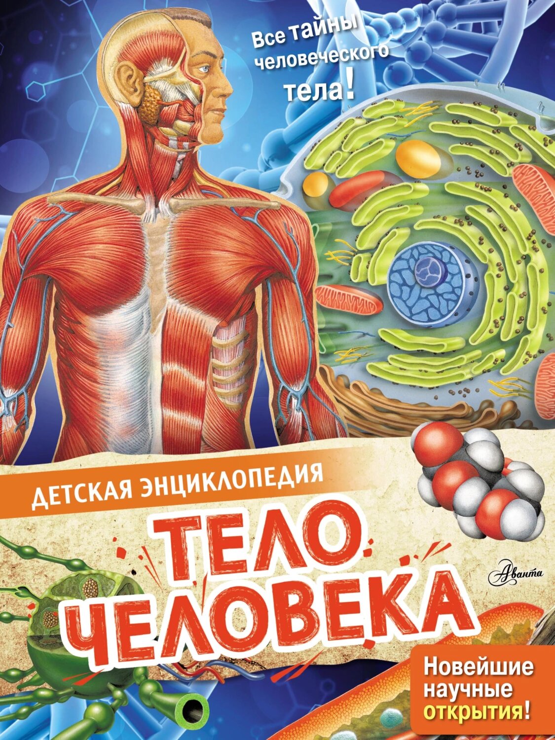 Тело человека [Цифровая книга]