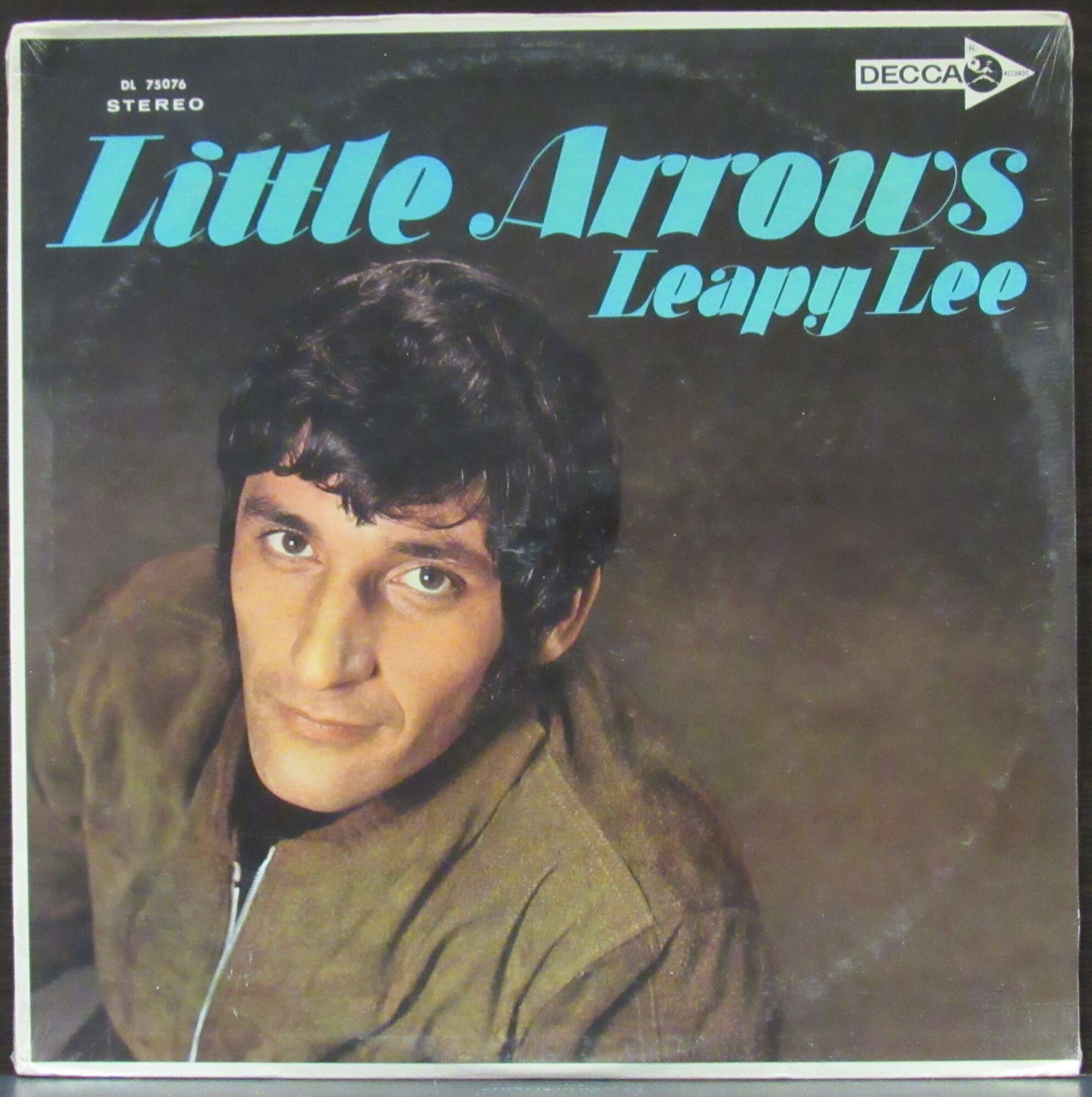 Lee Leapy "Виниловая пластинка Lee Leapy Little Arrows"