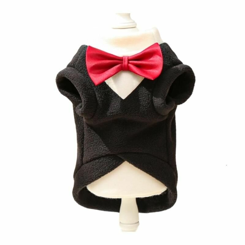 Костюм для кошек и собак на особые случаи, - XS - 1