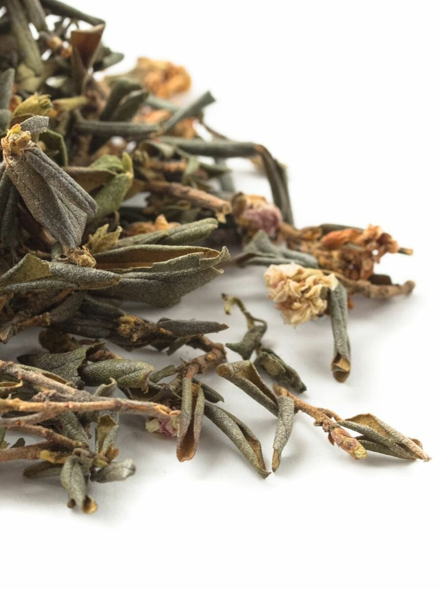 100% Саган-дайля. Концентрат природной энергии и ясности ума (20 грамм)