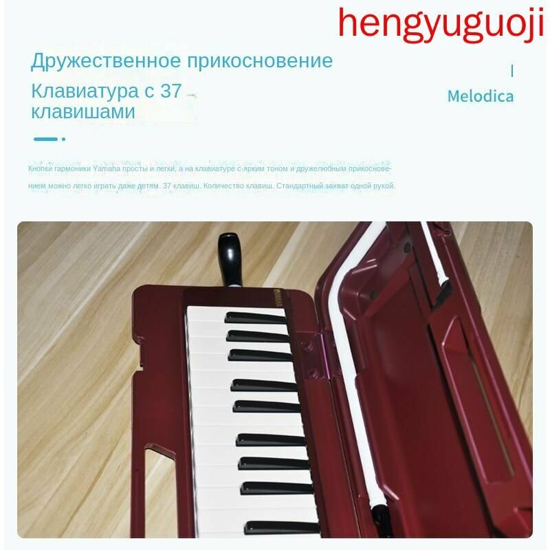 Мелодика — фото 1
