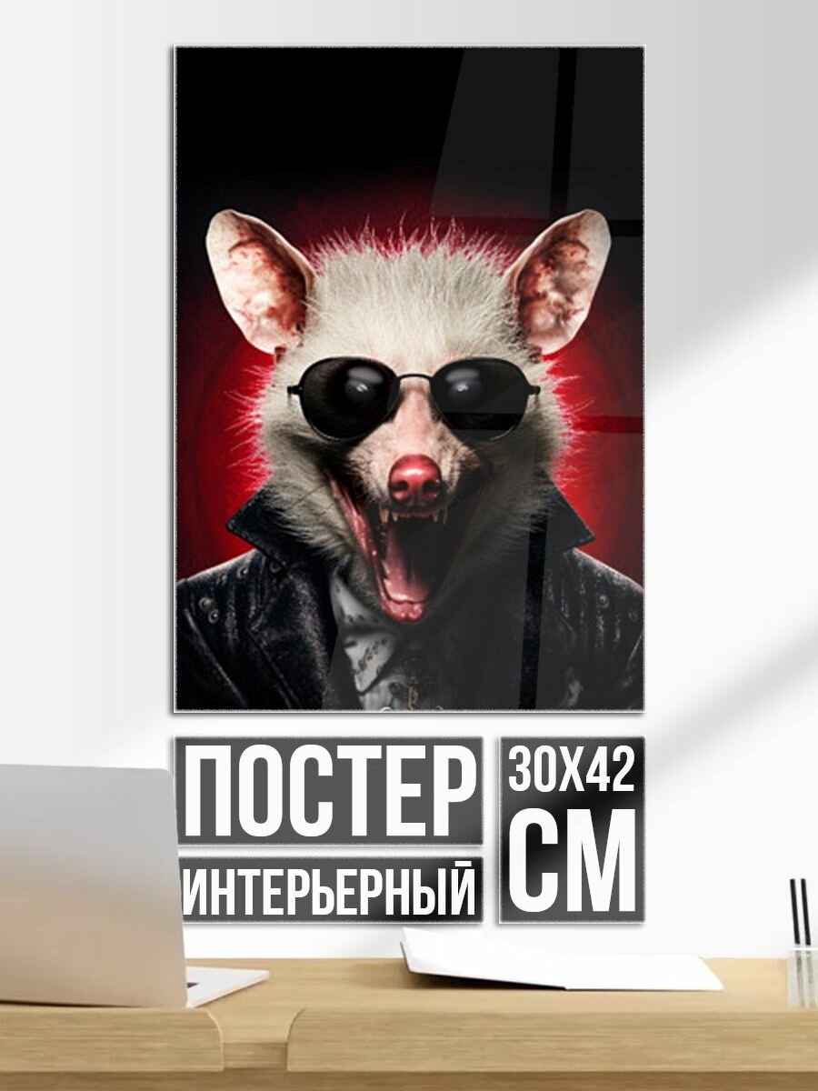 Постер на стену Крутой опоссум