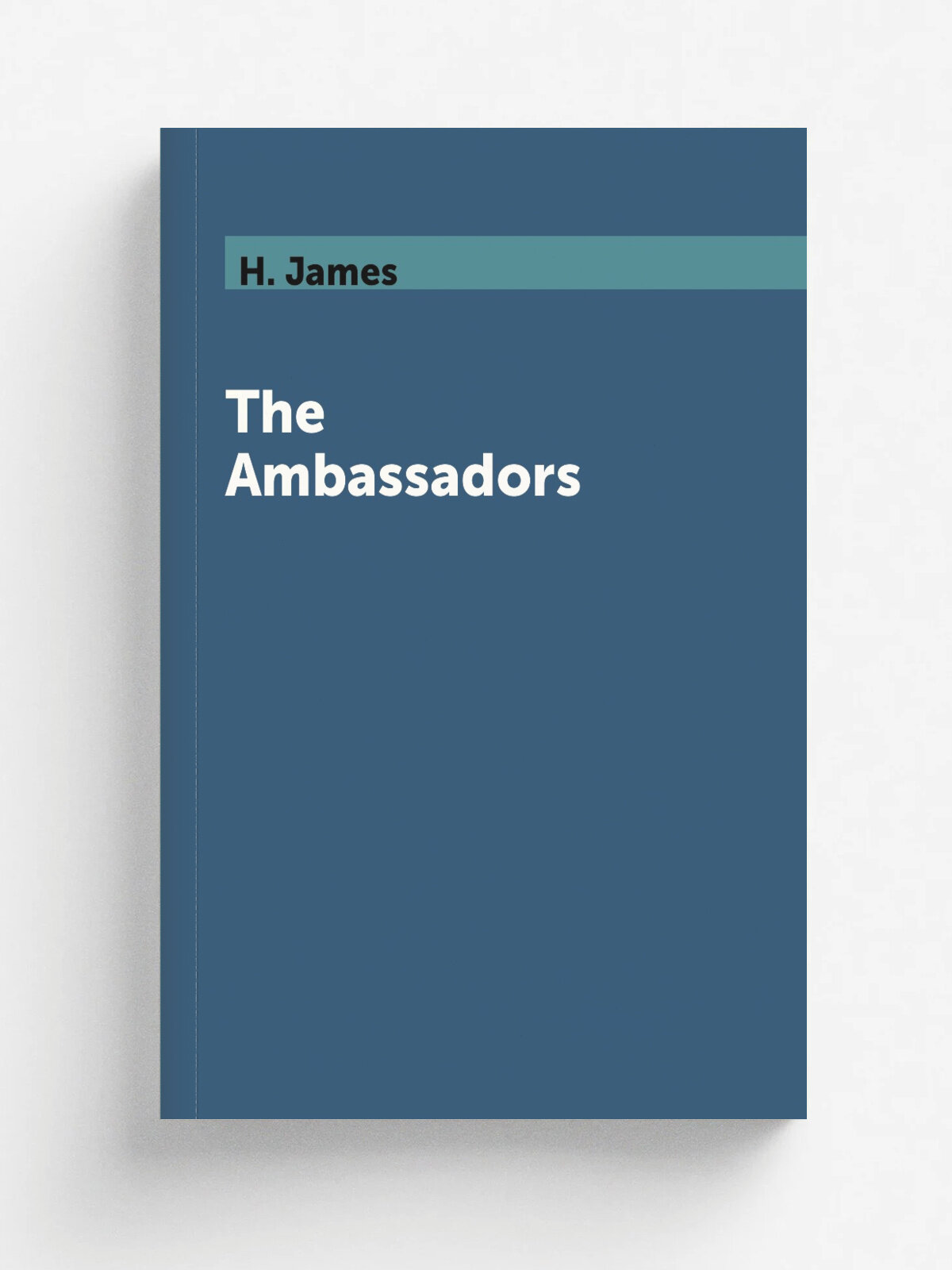 The Ambassadors