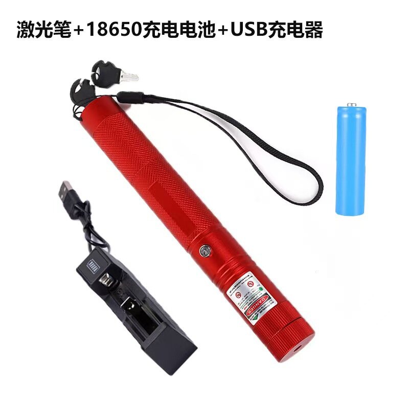 303 мощный лазерный фонарик красный зеленый внешний лазерный фонарик Красный корпус + аккумулятор + зарядное устройство