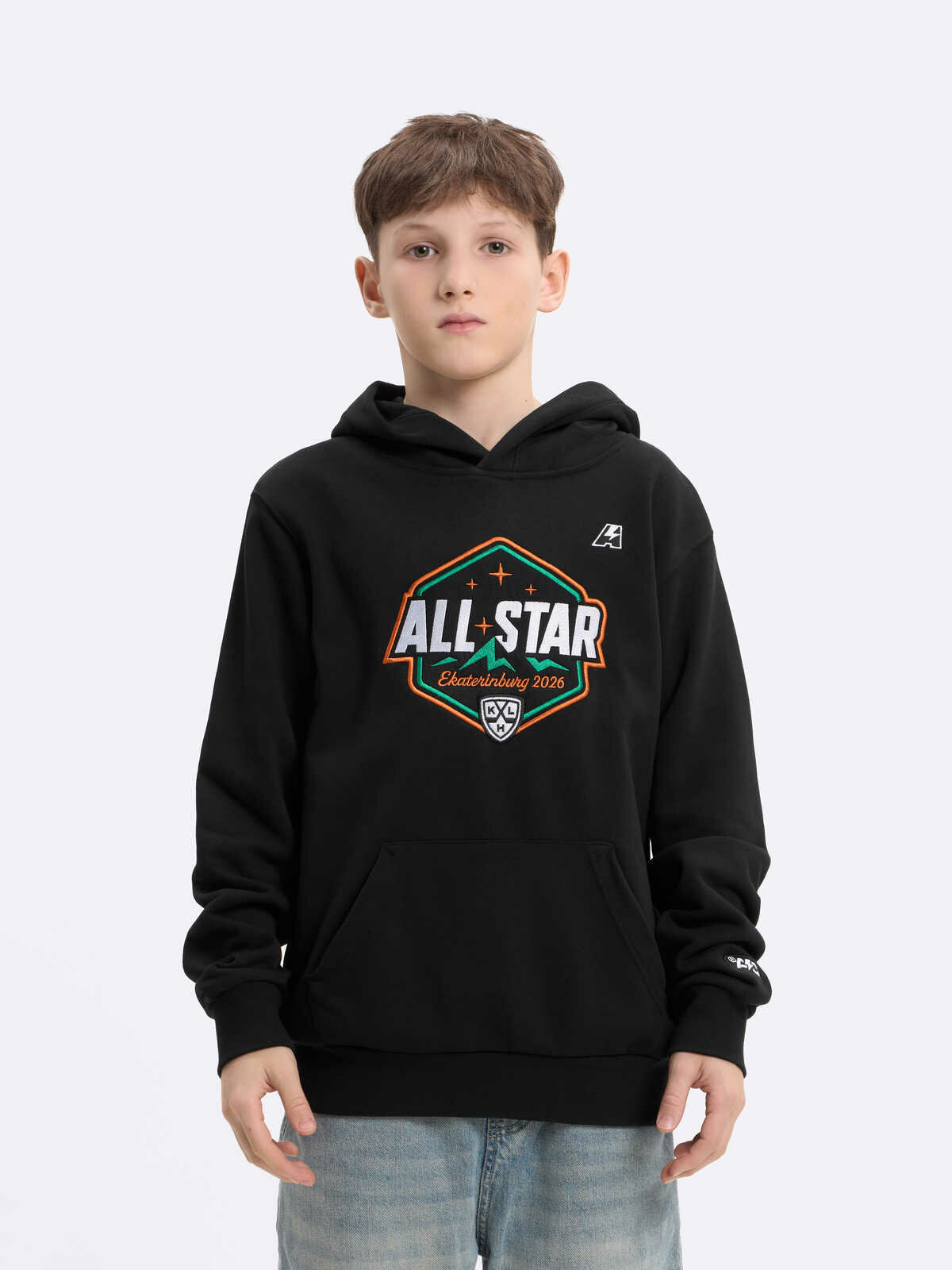 Толстовка спортивная КХЛ ALL STAR
