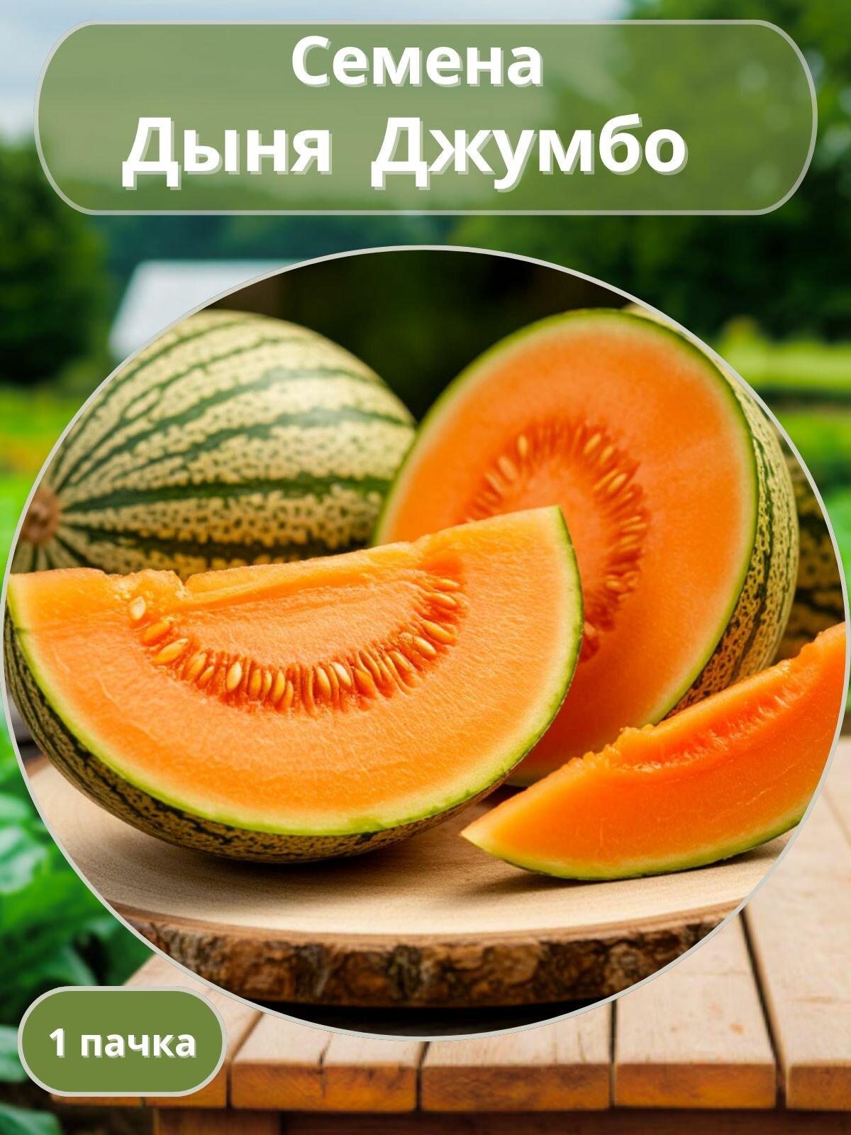 Дыня Джумбо, семена 10 шт