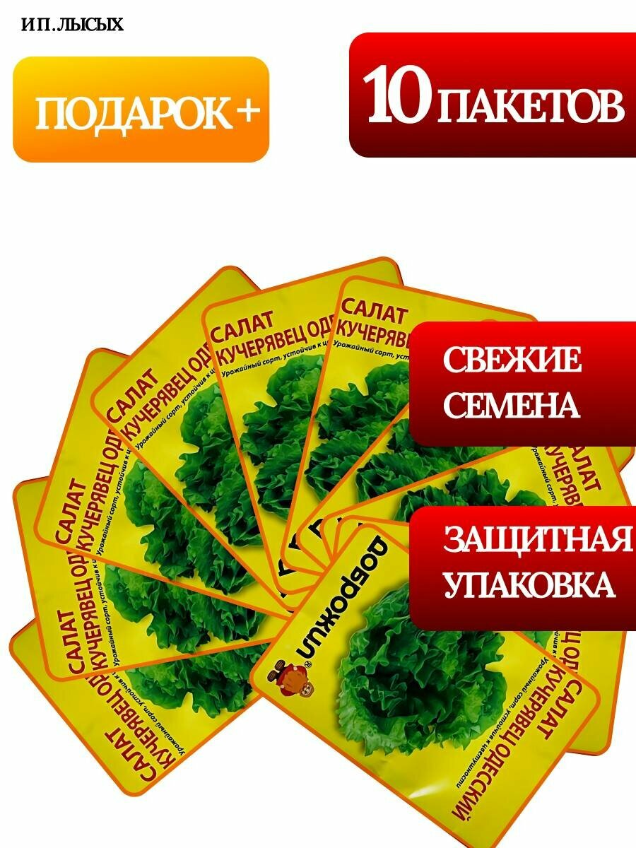 Семена Салат "Кучерявец Одесский"