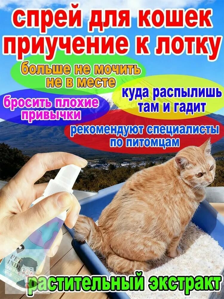 Корректор поведения для животных
