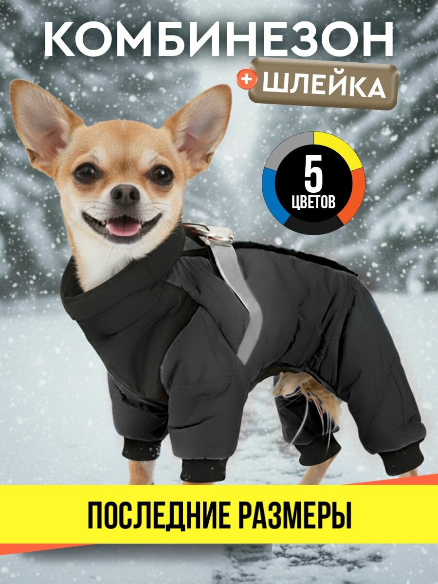 Зимний комбинезон для собак мелких пород MiloPets, M