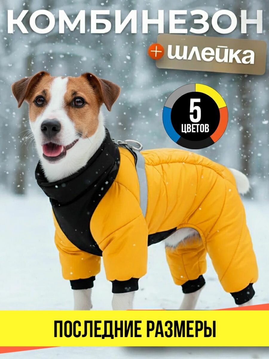Зимний комбинезон для собак мелких пород MiloPets, M