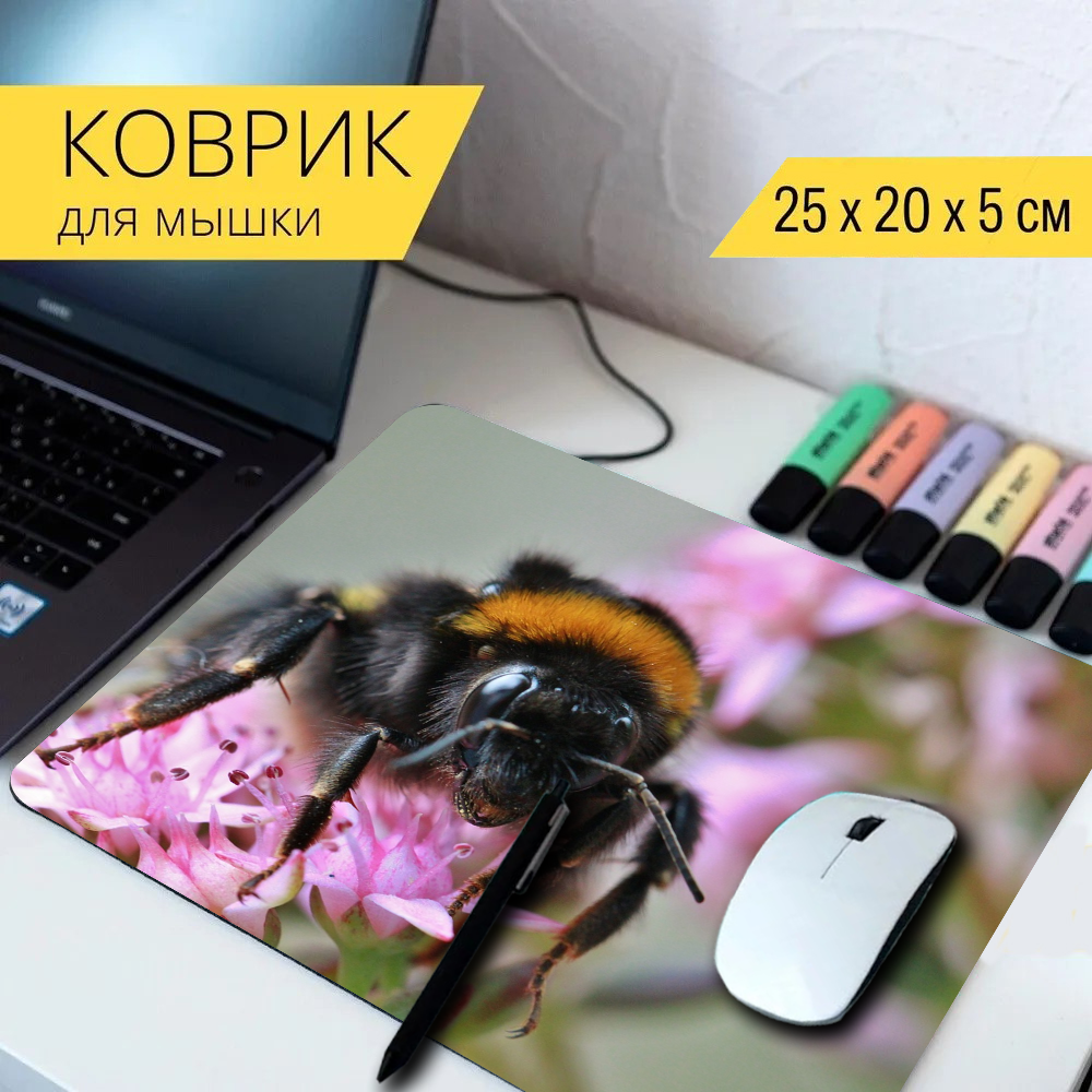 Коврик для мыши с принтом "Шмель, насекомое, животное" 25x20см.