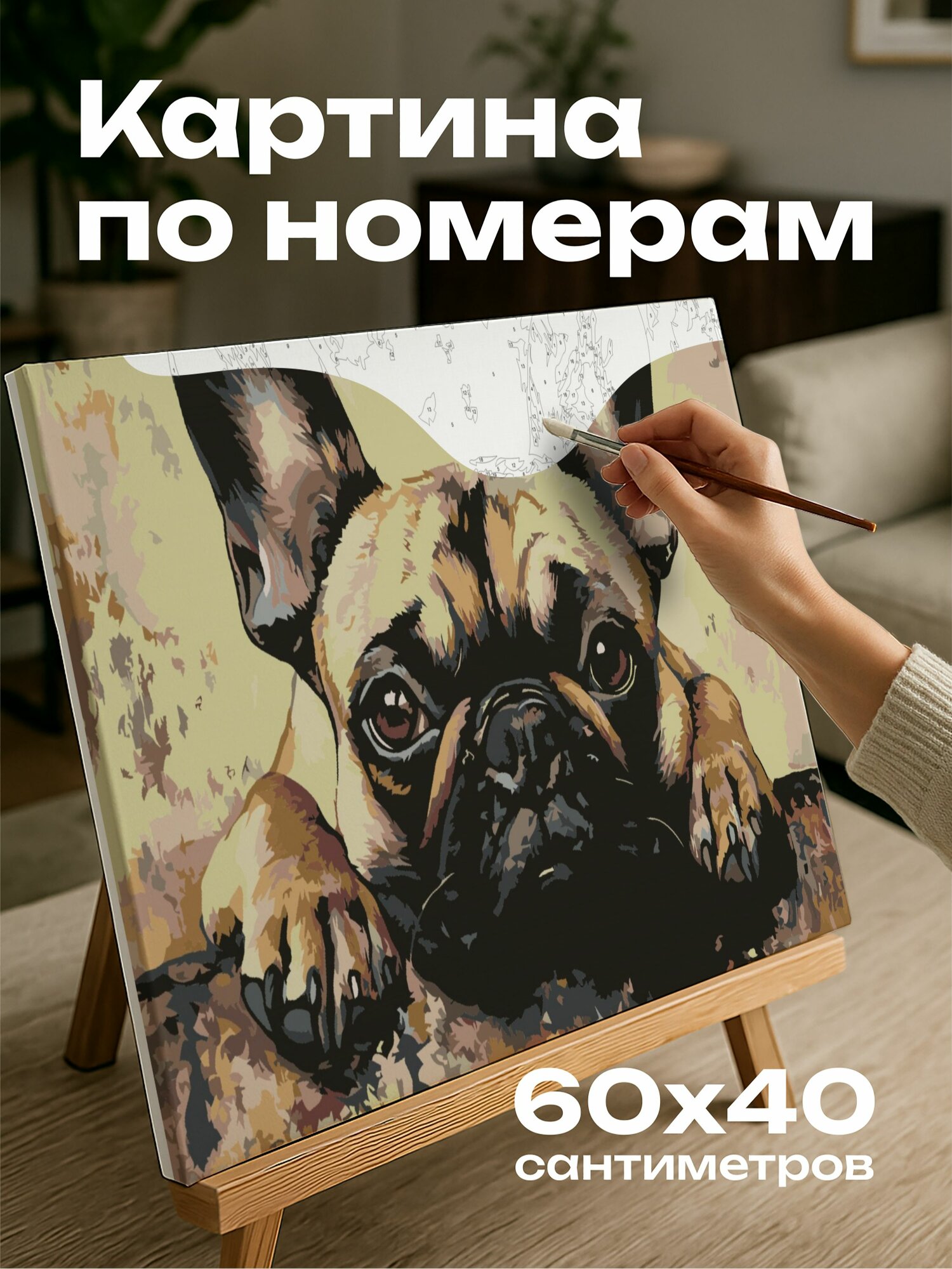 Картина по номерам 60x40 см, Французский бульдог, реалистичная картина, масляные краски, игривый взгляд