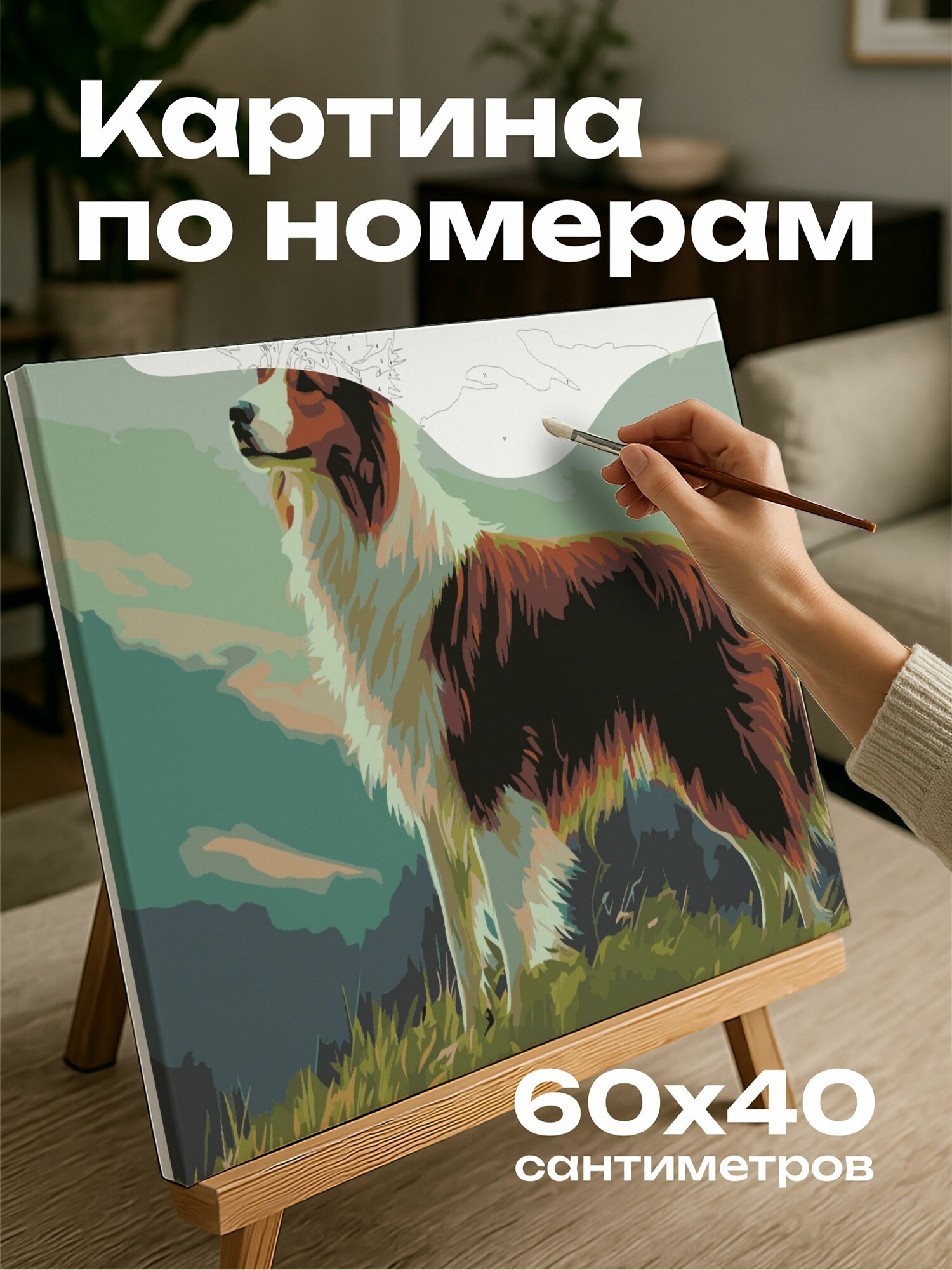 Картина по номерам 60x40 см, Колли, зеленый холм, умные глаза, пастух, яркий пейзаж, преданность, верный, гордый