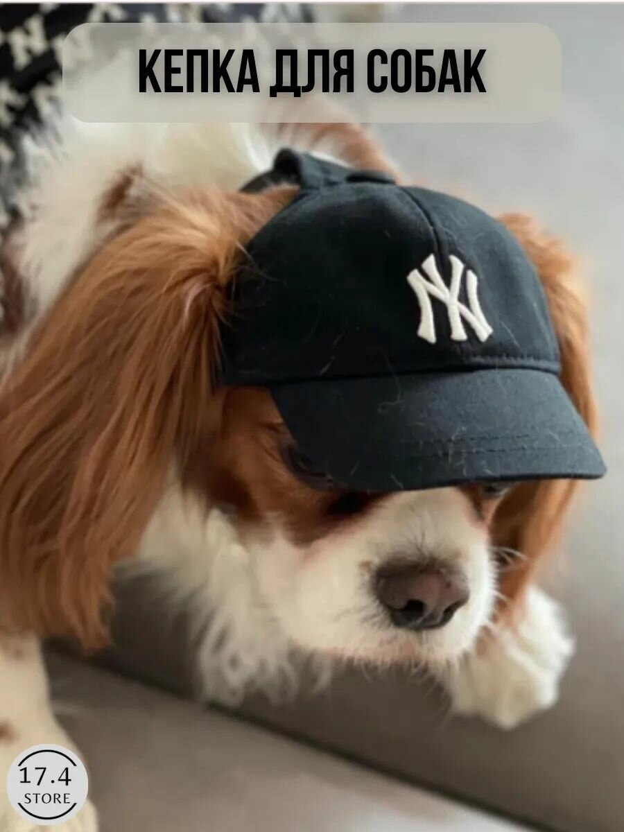 Кепка для собак и кошек LA(MLB)