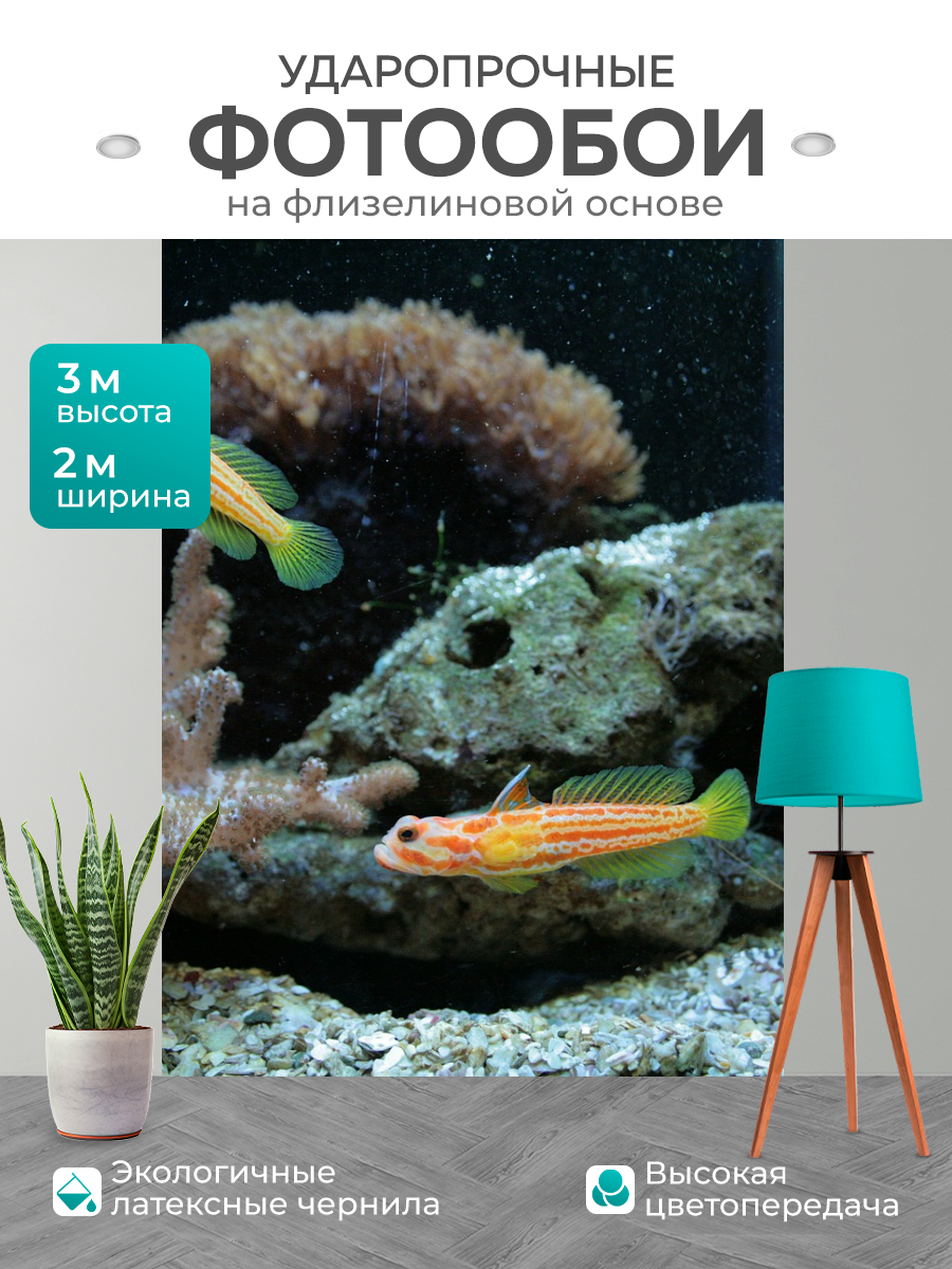 Фотообои моющиеся ударопрочные "Морской рыбы, аквариумные рыбки, аквариум" 200x300 см. флизелиновые на стену