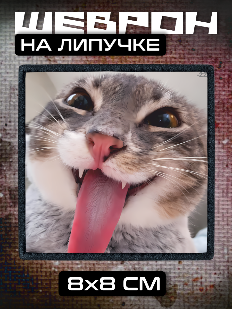Шеврон на липучке Котик кот