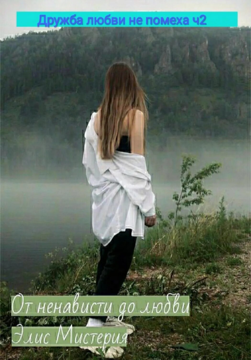 От ненависти до любви [Цифровая книга]