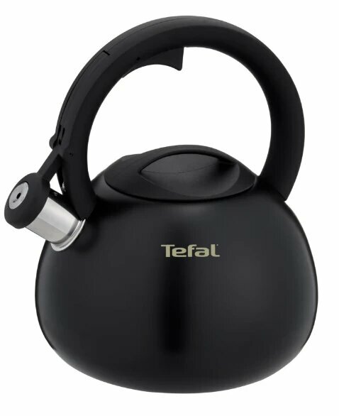 Чайник для плиты Tefal N4180417 черный