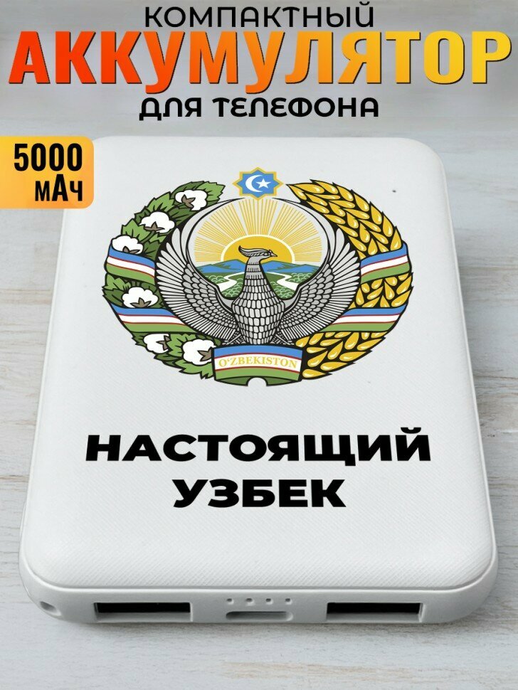 Повербанк "Настоящий Узбек"