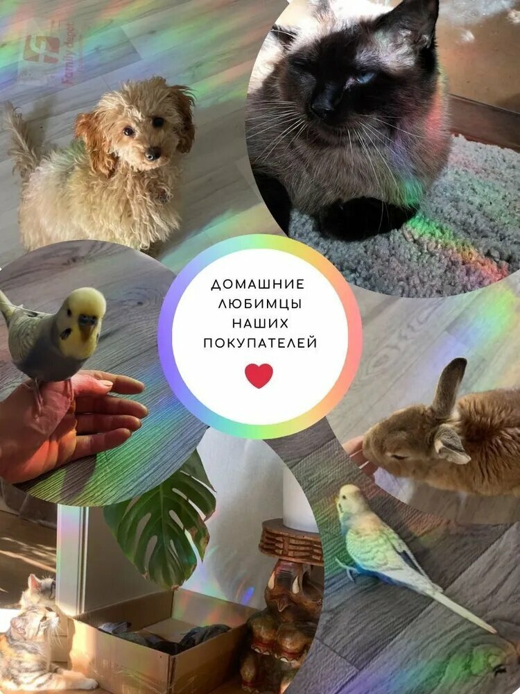Наклейка интерьерная — фото 1