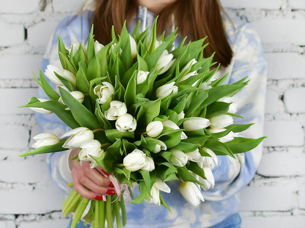 Букет 49 белых тюльпанов