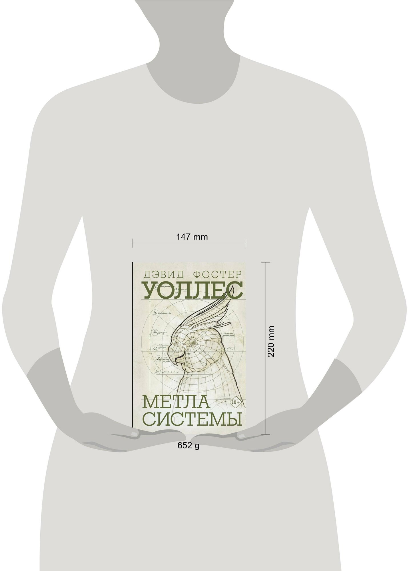 Метла системы — фото 1