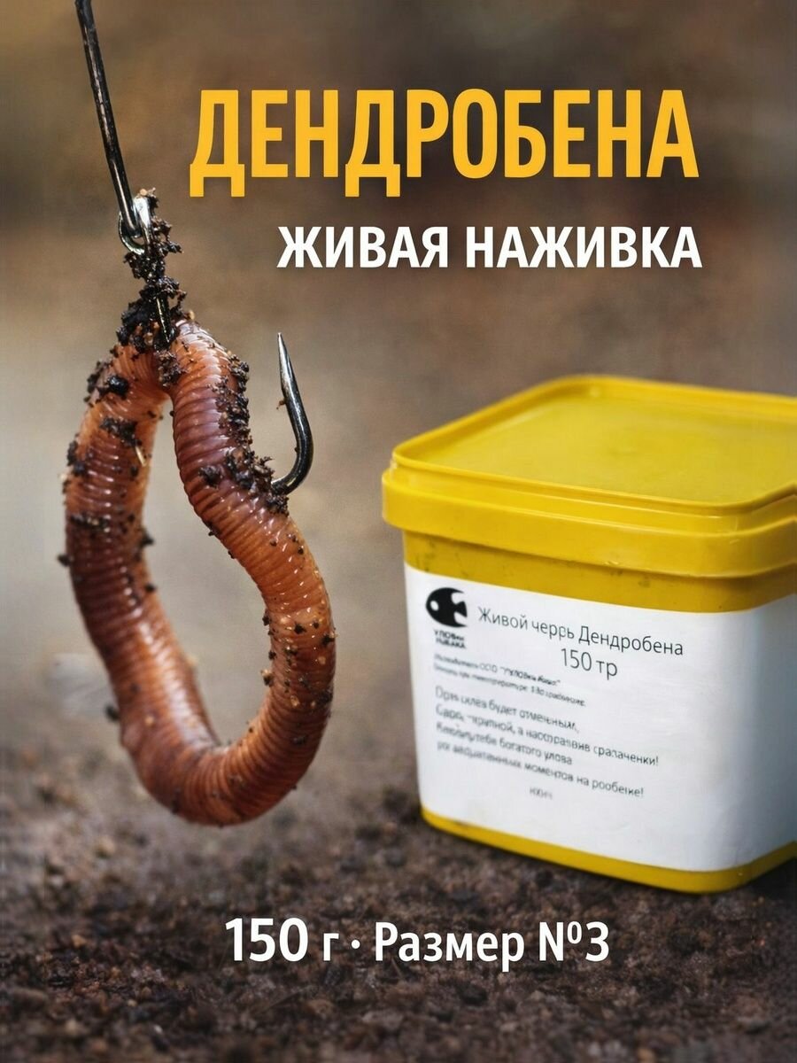 Живой червь Дендробена "уловки рыбака", 150г.