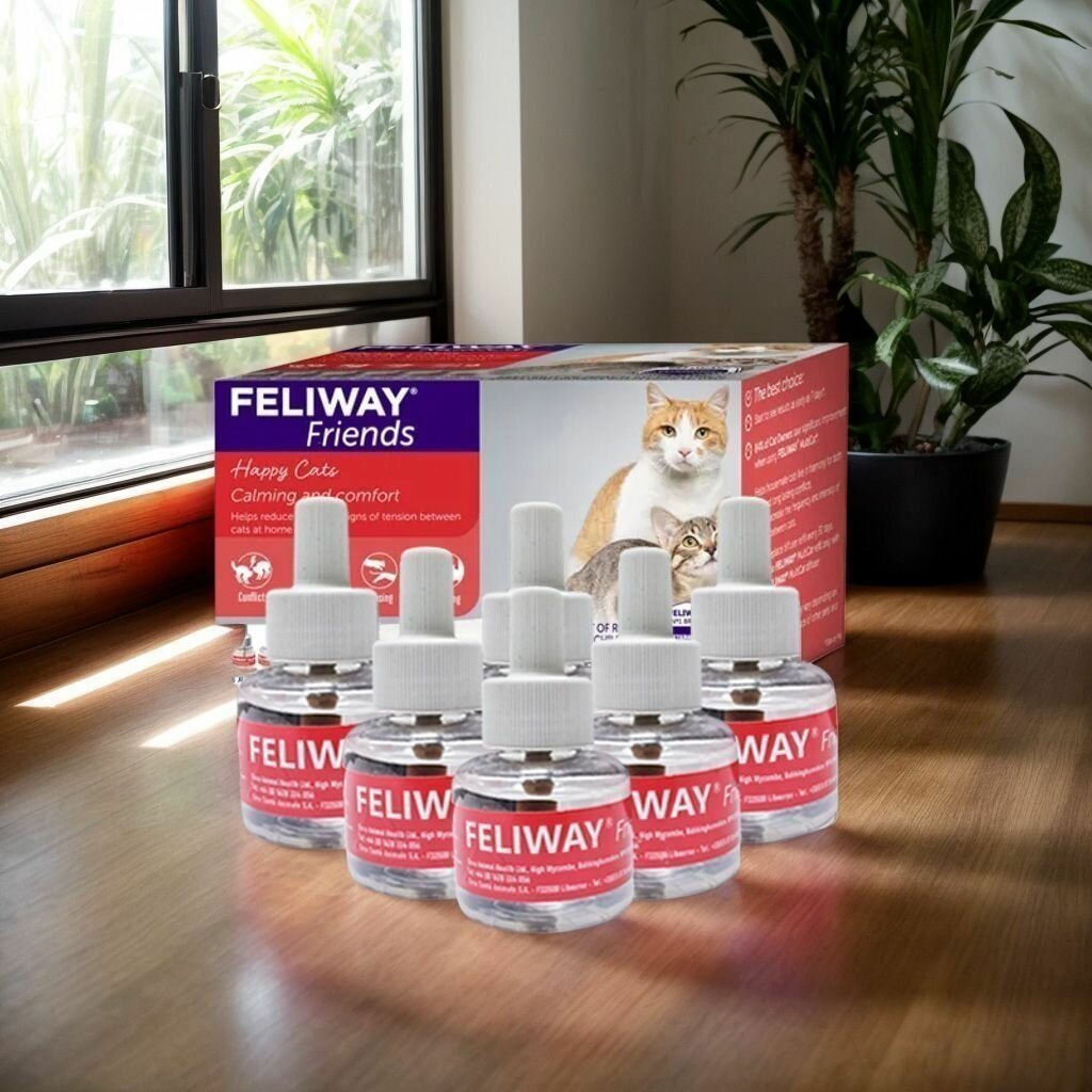 Feliway Friends сменный блок для коррекции поведения кошек 48 мл-6 шт.