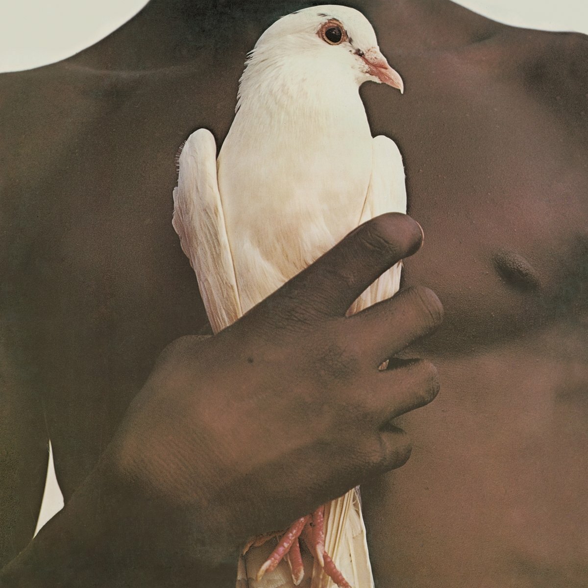 SANTANA Greatest Hits (1974) (LP)
