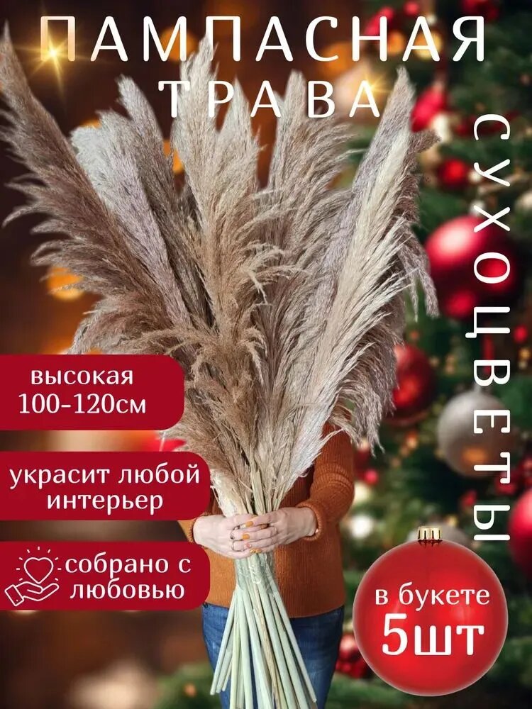 Пампасная трава, сухоцветы для декора, в букете 5 шт, высота 100 см, 500 гр