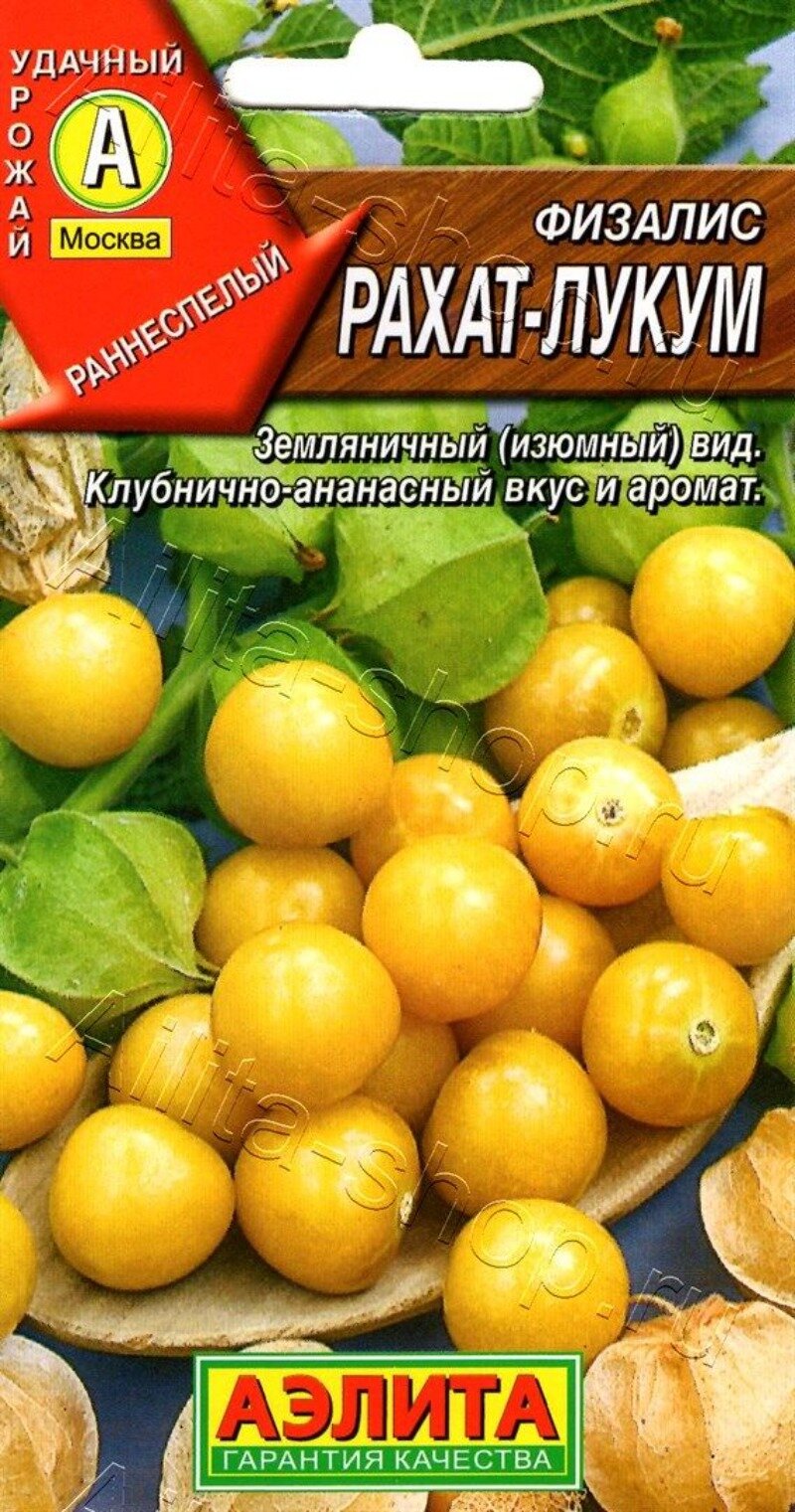 Семена Физалис Рахат-лукум (0,2 г), земляничный, Агрофирма Аэлита