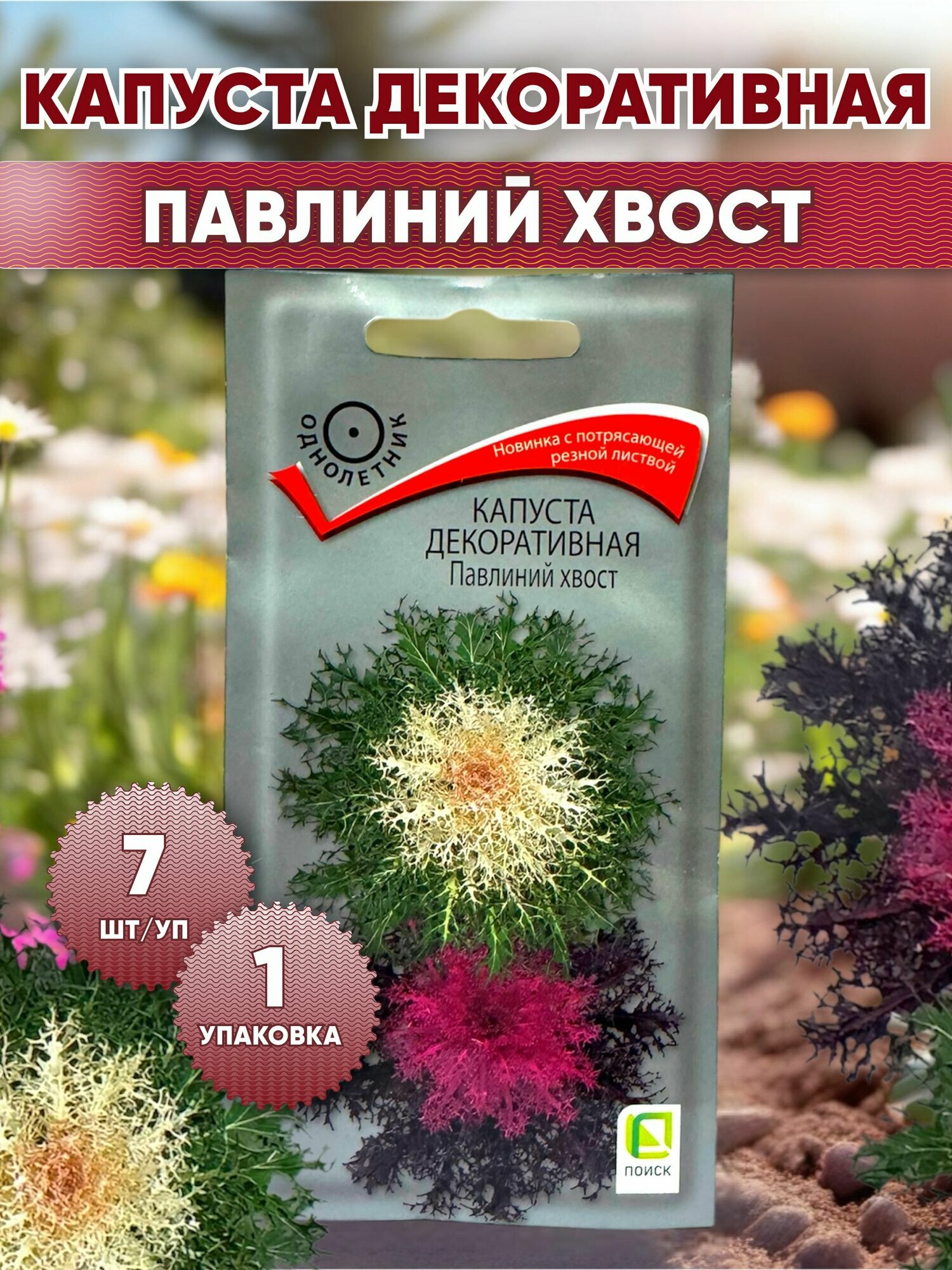 Семена Капуста декоративная Павлиний хвост 7шт/1 уп, Поиск