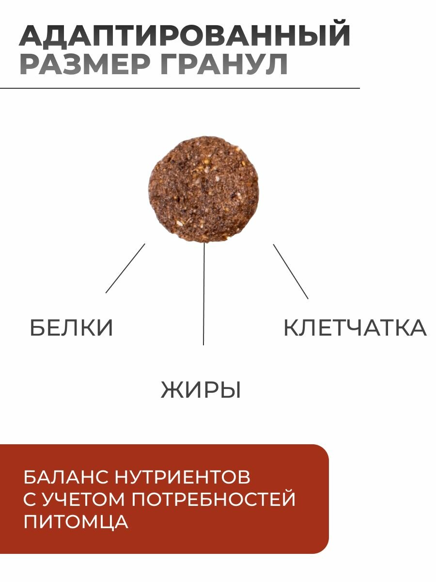 Корм сухой