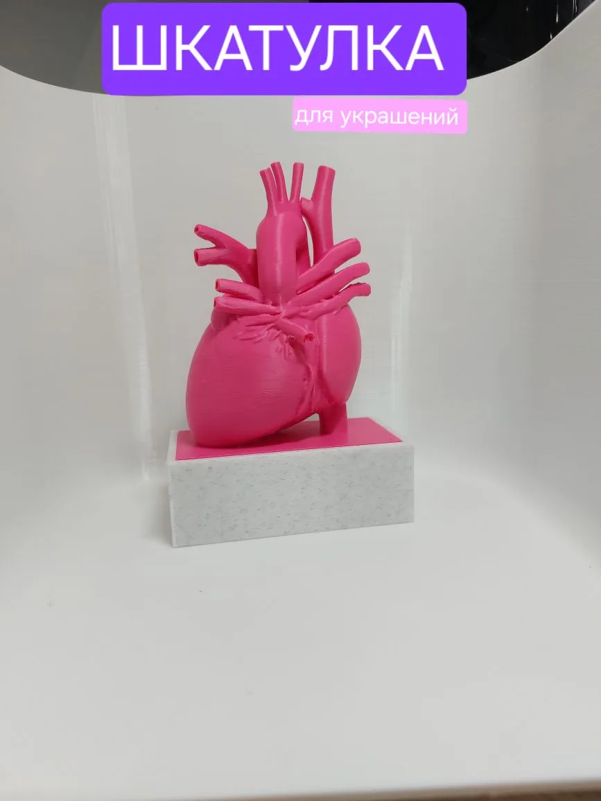 Шкатулка для украшений "Сердце", анатомическое, 3D модель, розовая