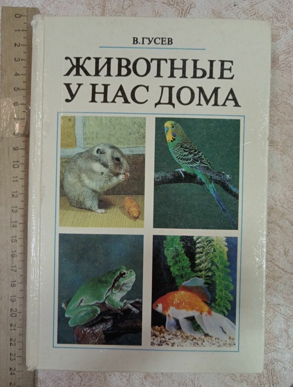 Животные у нас дома Гусев В.