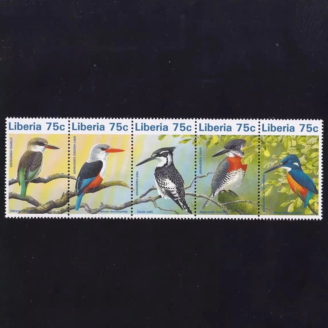 5 шт./компл. почтовые марки Liberia 1996 Kingfisher Birds MNH