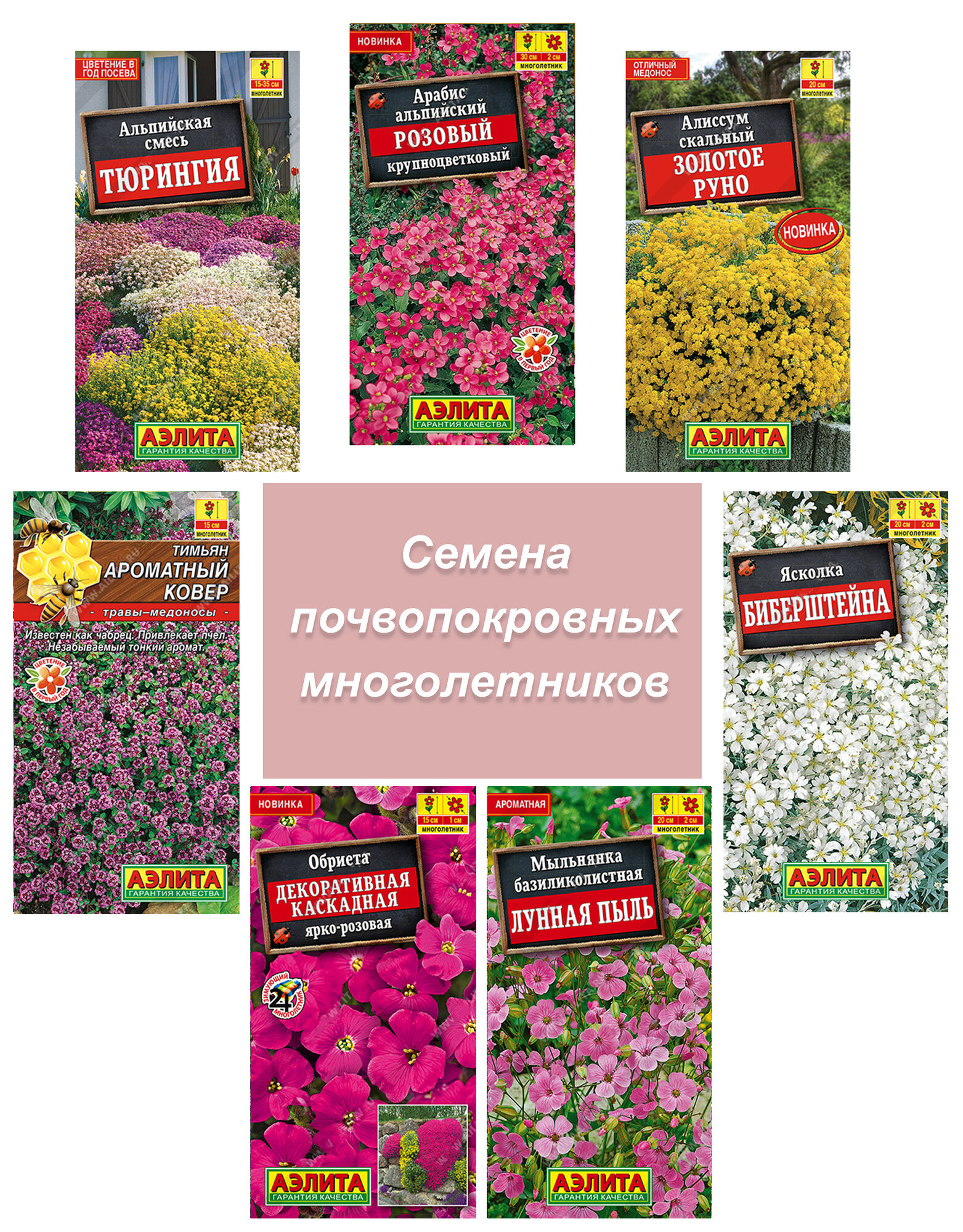 Набор семян, семена почвопокровных многолетних цветов