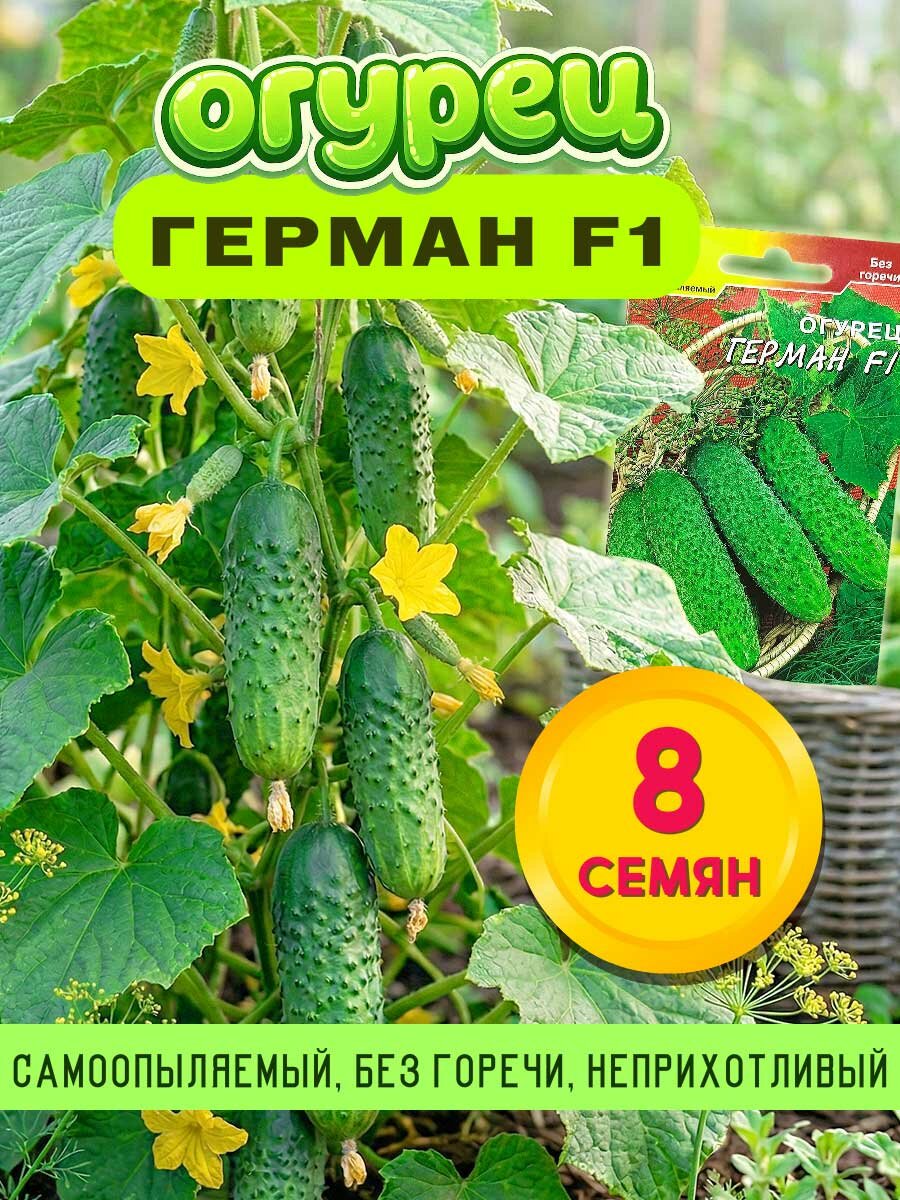 Семена огурца Цветущий Сад Герман F1, ранние самоопыляемые, 8 шт