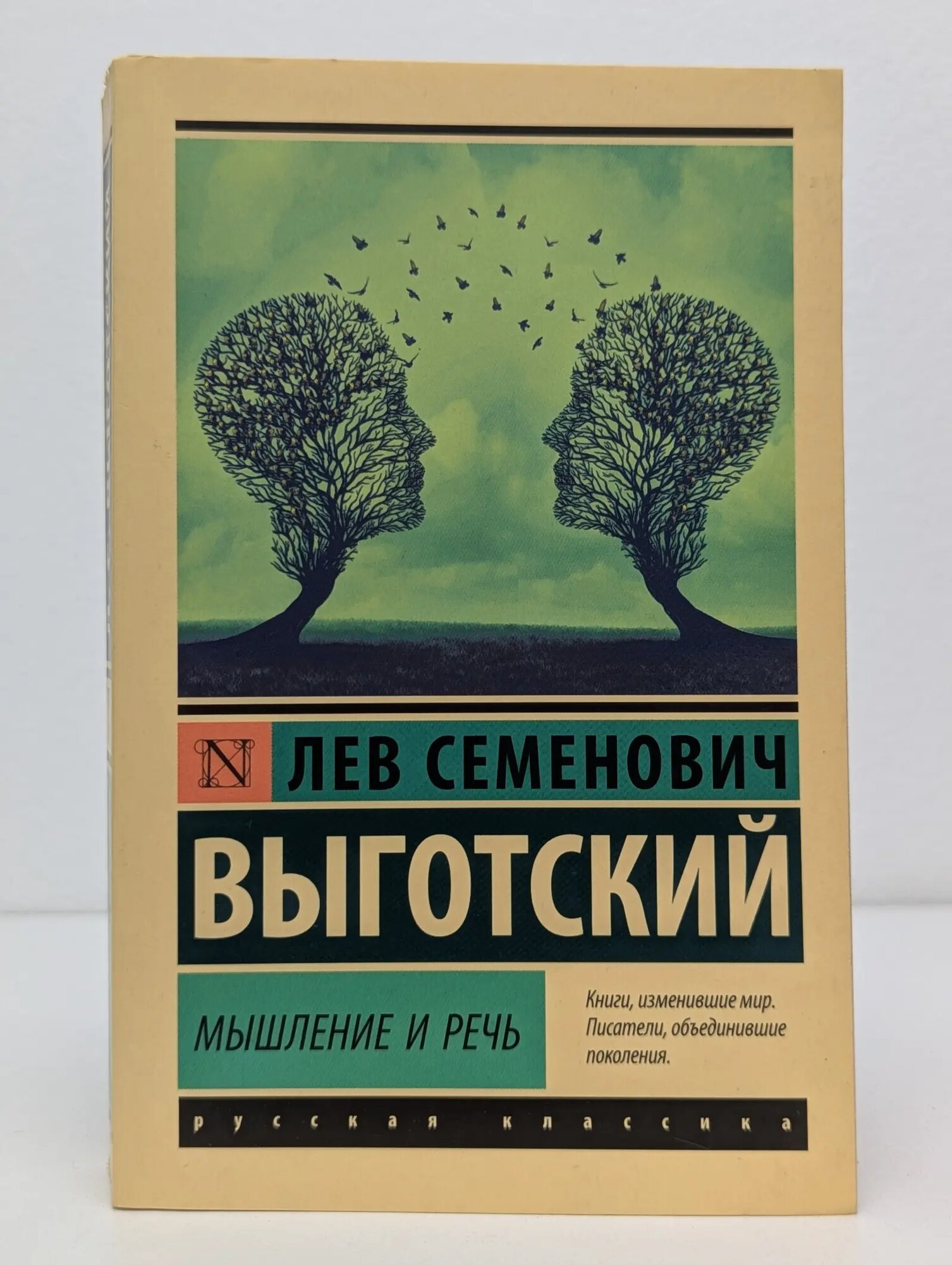 Мышление и речь Выготский Лев Семенович 2022
