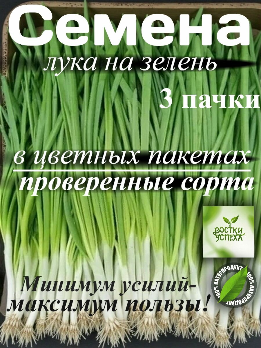 Семена аэлита "Лук на зелень", набор 3 шт, многолетние, для посадки апрель/май/октябрь