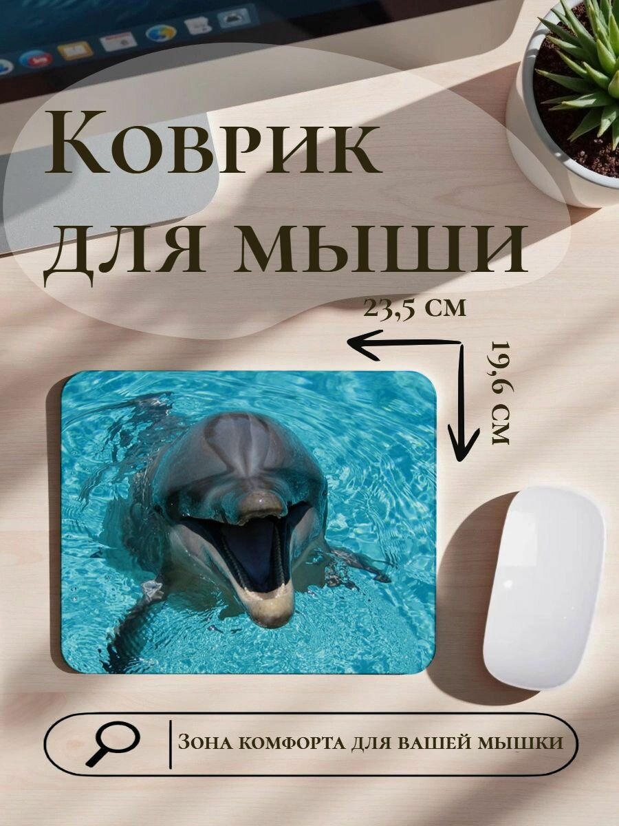 Коврик для мыши дельфин афалина море антискользящий подарок
