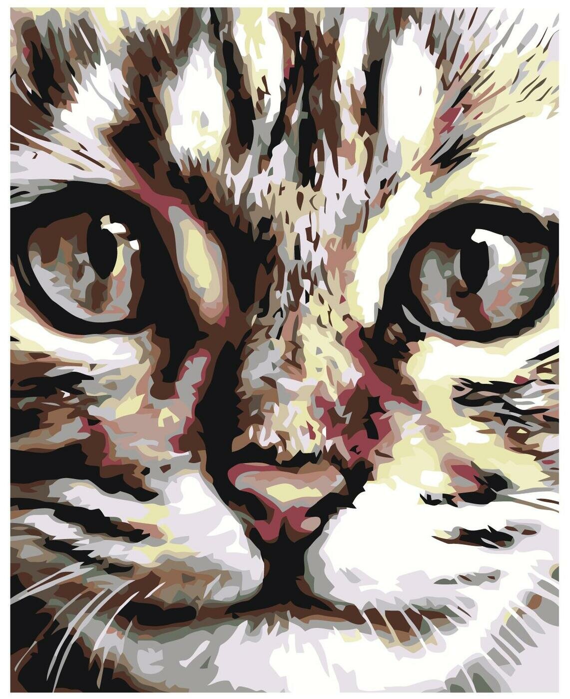 Картина по номерам, 40 x 50, A67, портрет, котёнок