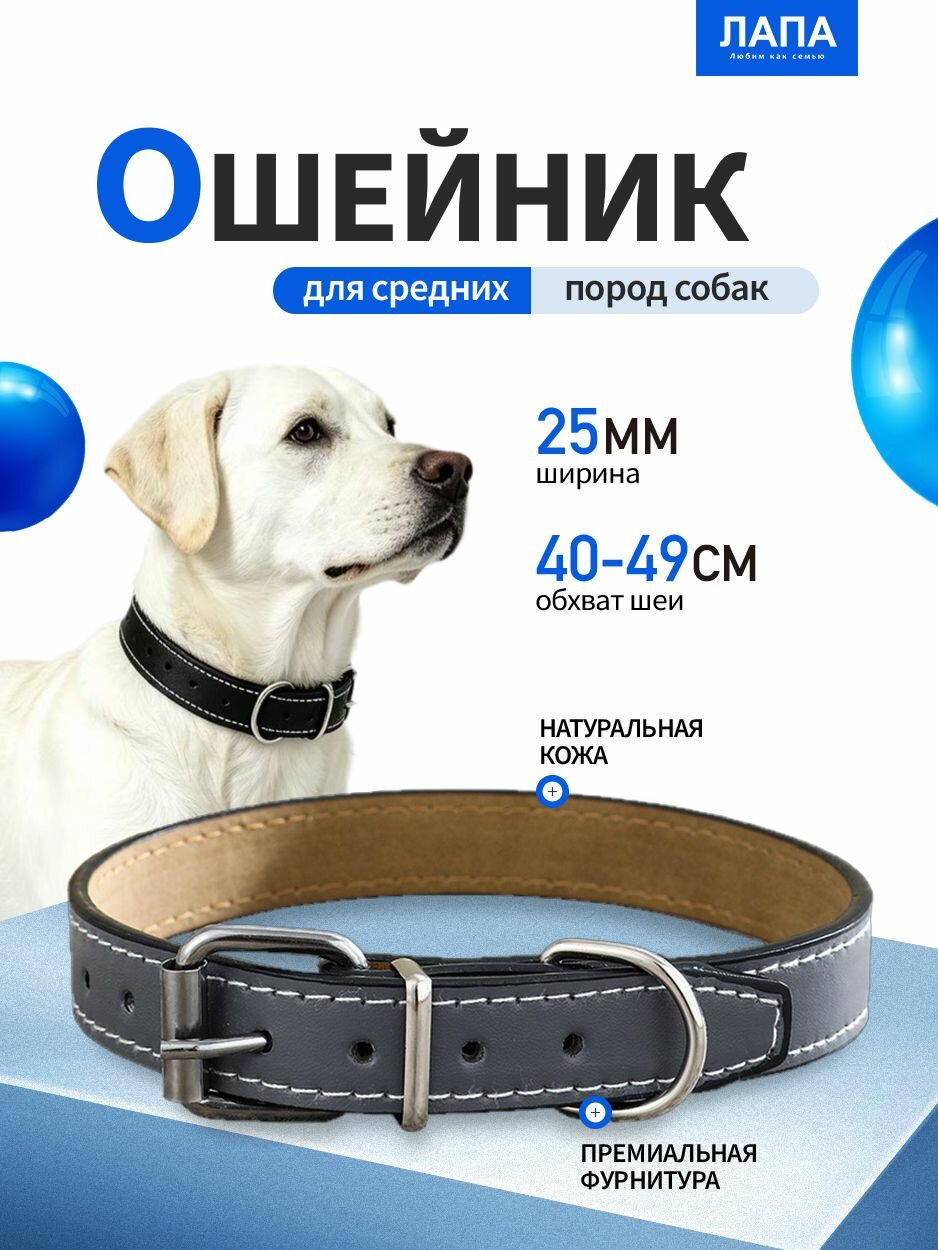 Черный кожаный ошейник для собак средних и крупных пород, обхват шеи 40-49 см